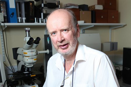 Search results for “prof”